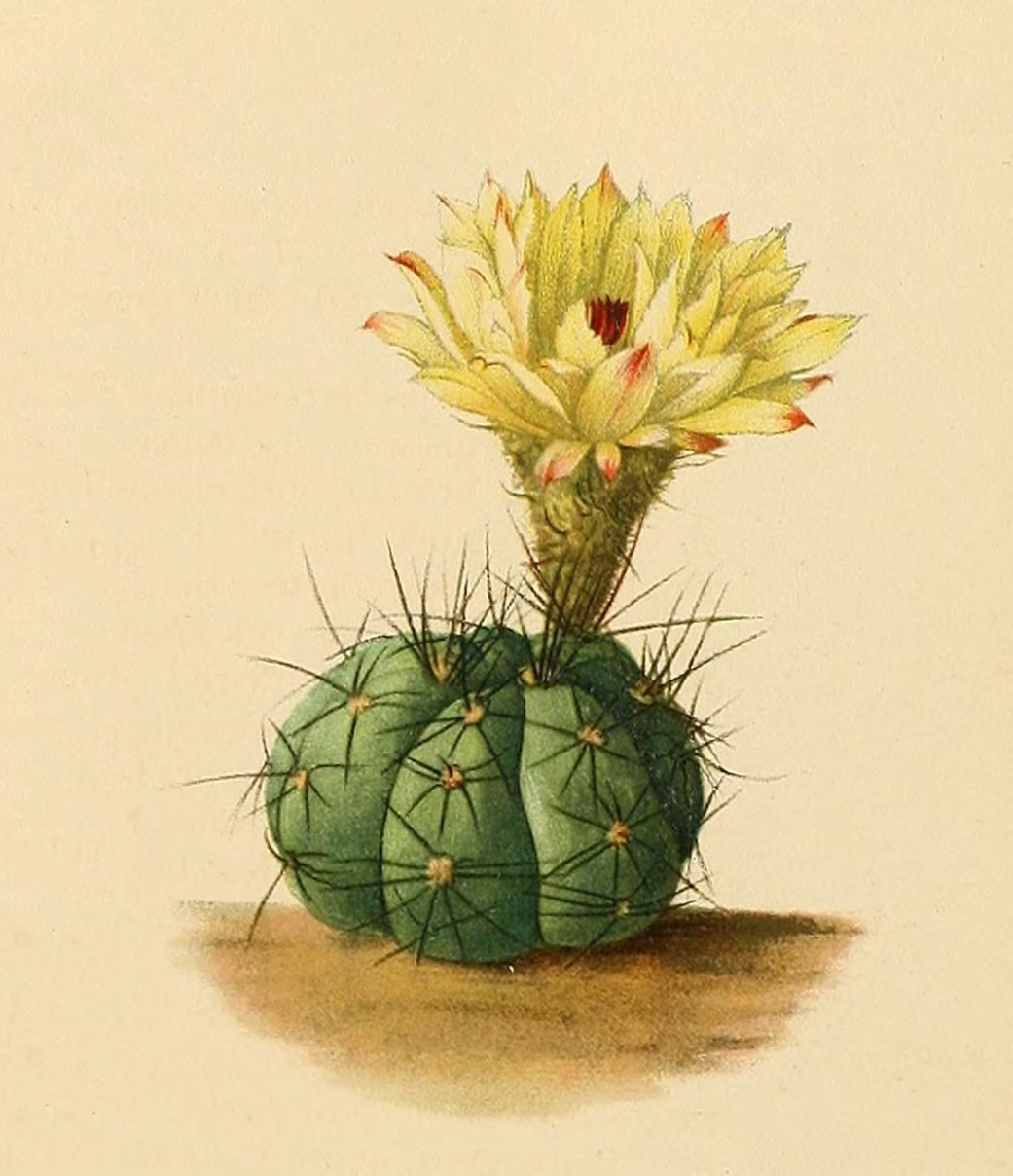 Familia (Online) | Institut d'Humanitats de Barcelona