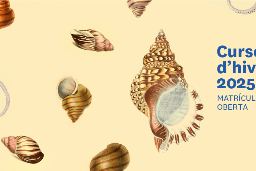 Programació | Institut d'Humanitats de Barcelona