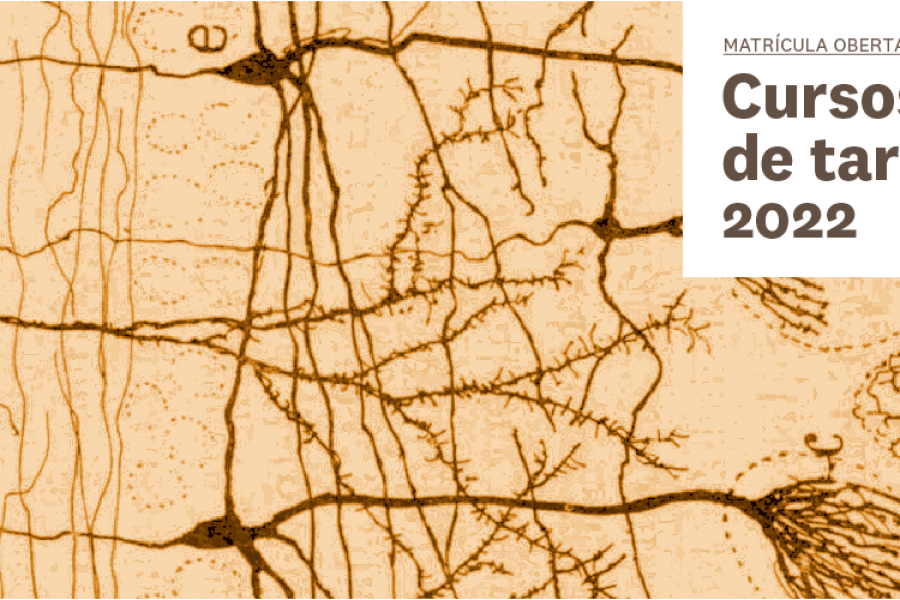 Programación | Institut d'Humanitats de Barcelona