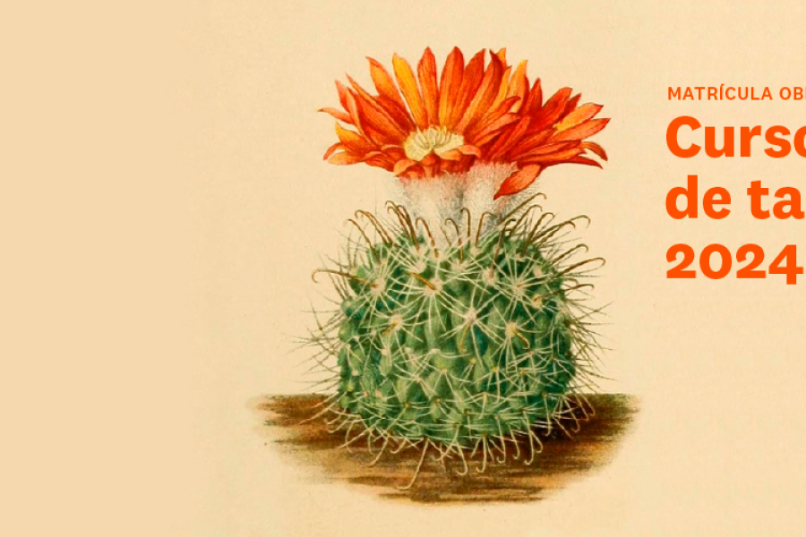 Programación | Institut d'Humanitats de Barcelona