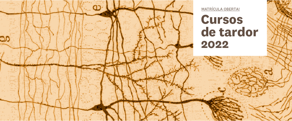 | Institut d'Humanitats de Barcelona