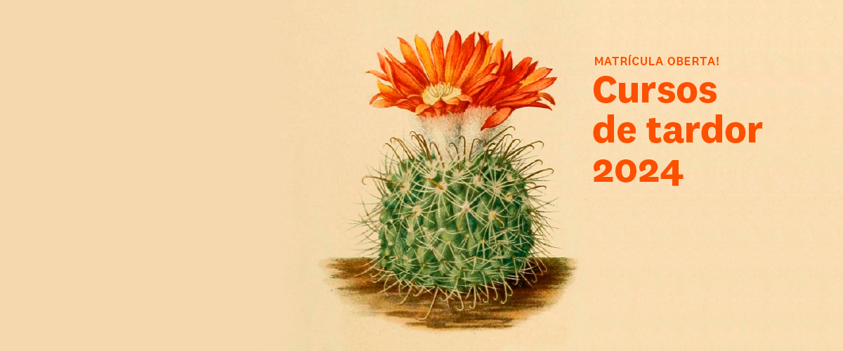 | Institut d'Humanitats de Barcelona